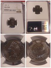 1893 Indian Head Penny Coin Value Prices, Photos & Info