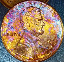 2023 D Lincoln Shield Penny Coin Value Prices, Photos & Info