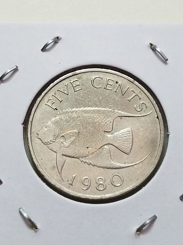 1980 Bermuda 5 (Five) Cents Coin - For Sale, Buy Now Online - Item #769888