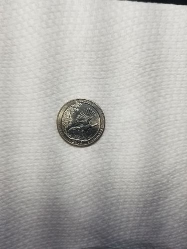 2015 D Kisatchie Quarter - For Sale, Buy Now Online - Item #690533