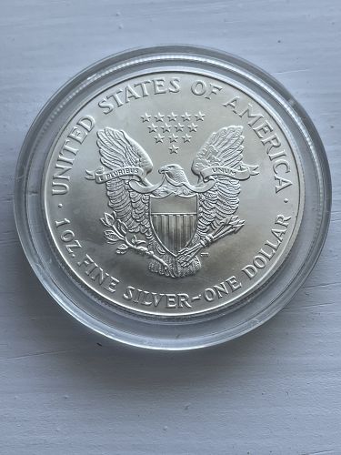1999 PAINTED SILVER EAGLE - For Sale, Buy Now Online - Item #936264