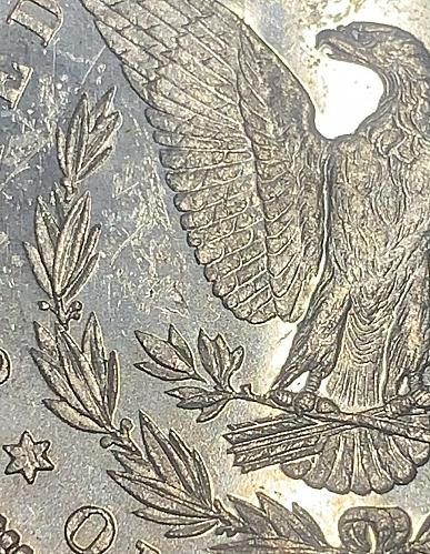 1878-P CHBU/MS63-PL Prooflike-VAM81 Disconnected Leaf Morgan US Silver ...