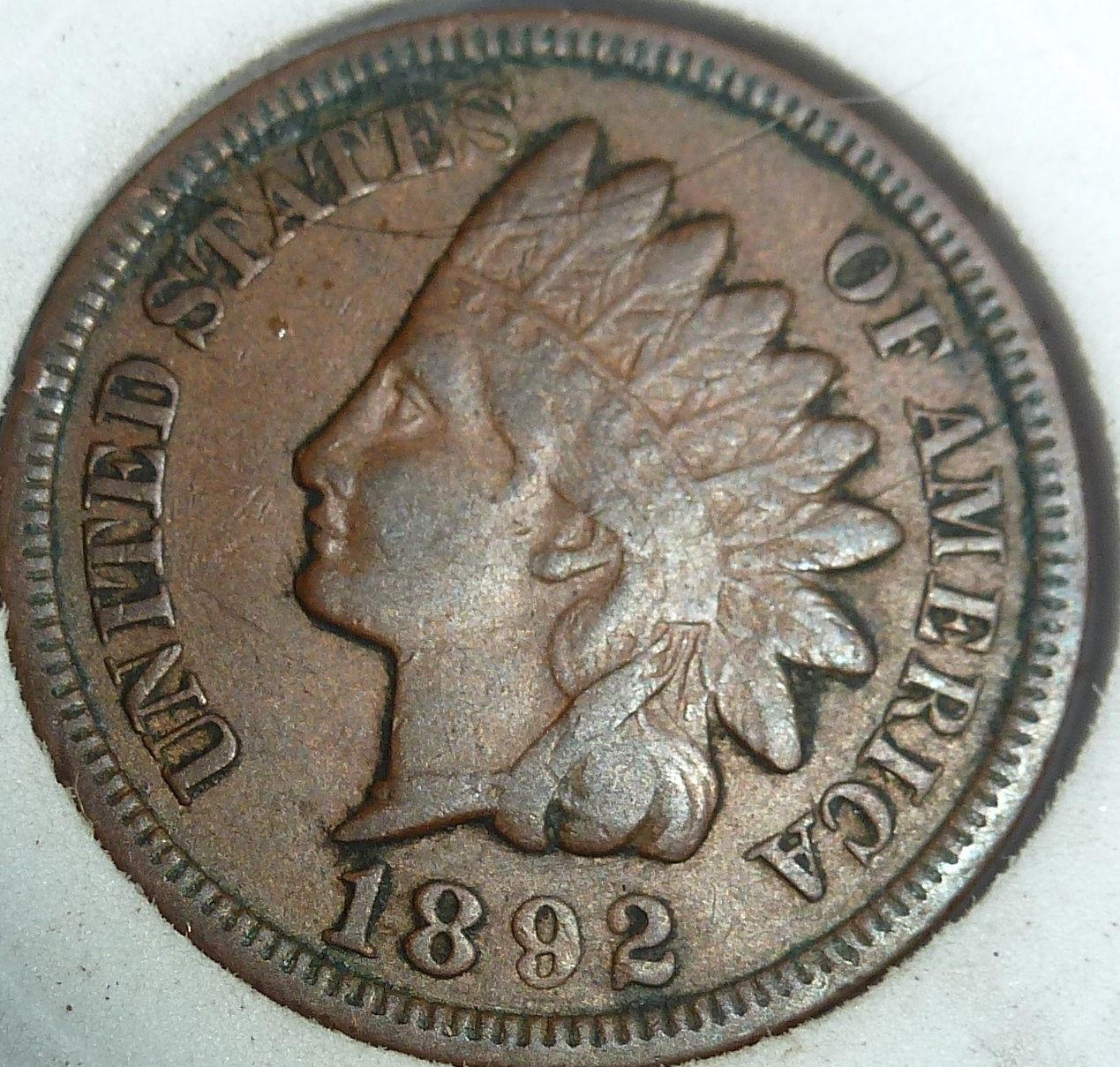 1892 Indian Cent Grades EXTRA FINE GRADE ( 100-36) - For Sale, Buy Now ...