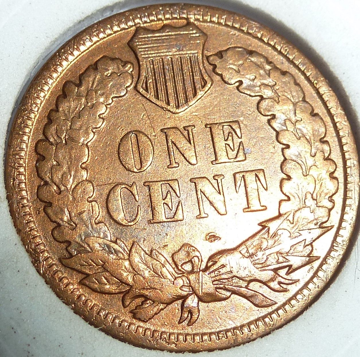 1884 Indian Cent Grades EXTRA FINE GRADE ( 100-29) - For Sale, Buy Now ...