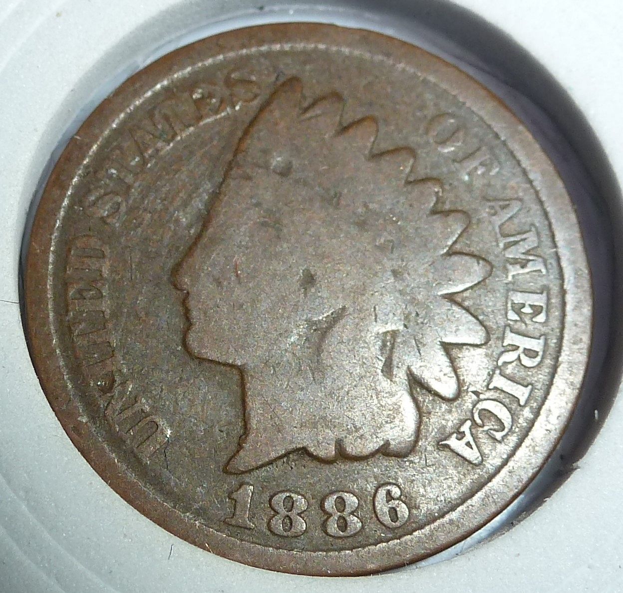 1886 type 1 Indian Cent Round Bust Grades GOOD (STM 7-2 ) - For Sale ...