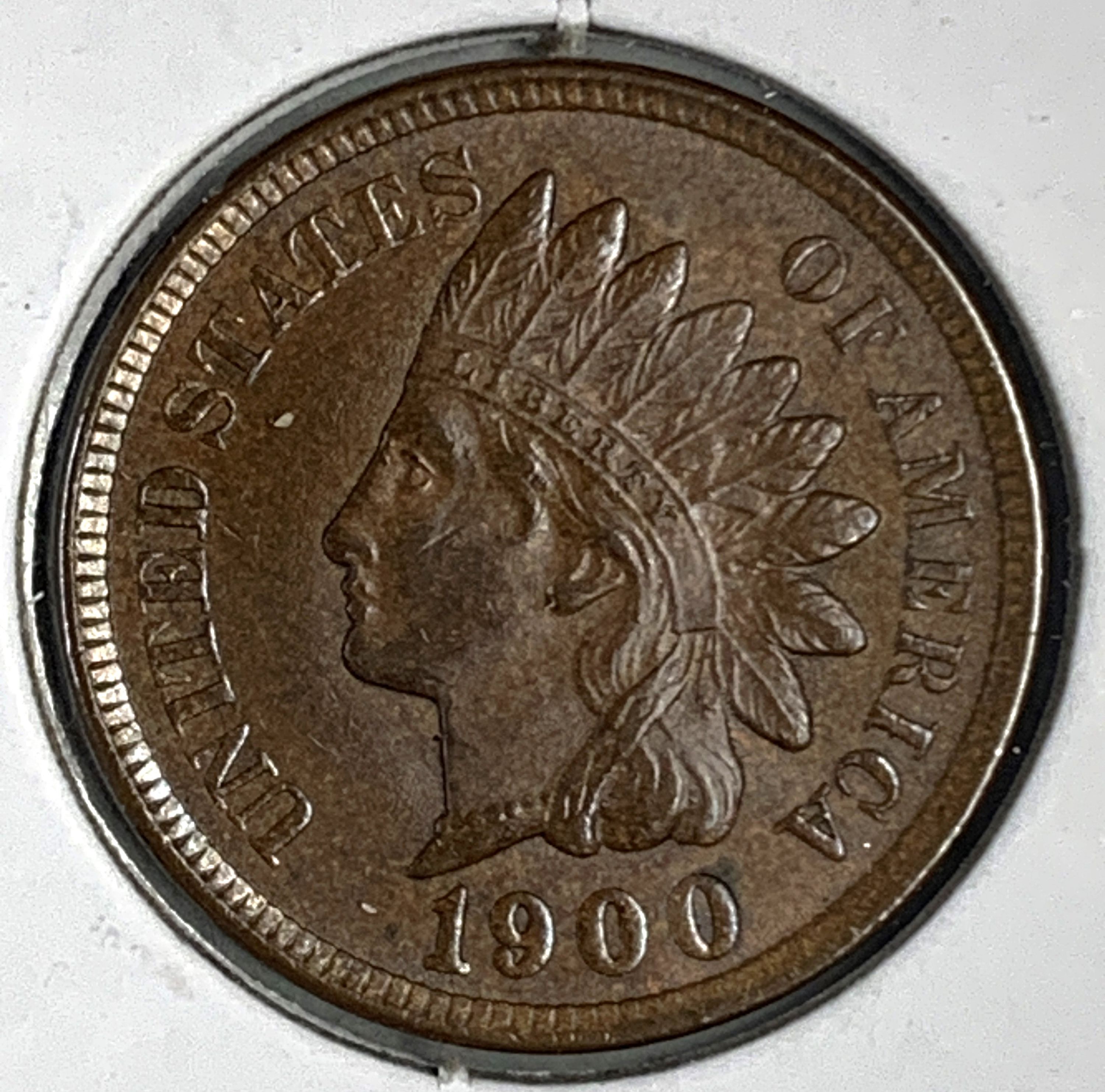 1900 Indian Head Cent, MS60+BN (6730) - For Sale, Buy Now Online - Item ...