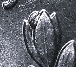 2021-P Roosevelt Dime with Extraordinary Die Chip Error - For Sale, Buy ...