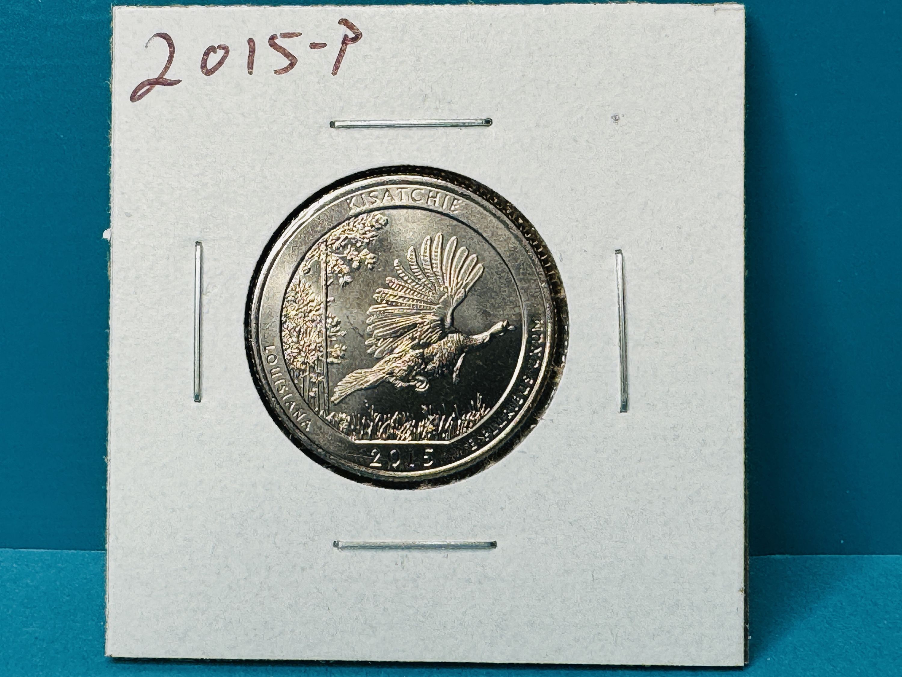2015-P Kisatche ATB Quarter - For Sale, Buy Now Online - Item #819039