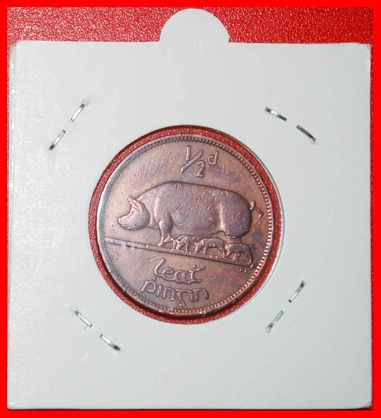 GREAT BRITAIN (1939-1967): IRELAND★ 1/2 PENNY 1943 PIG WAR ISSUE (1939 ...