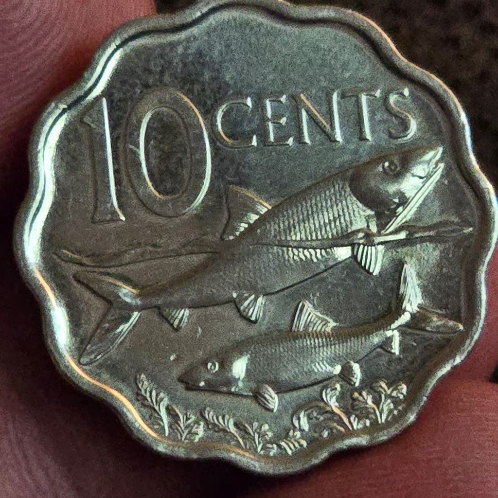 Gem UNC Bahamas 2010 10 Cents~Bone Fish~Scalloped Coin~GREAT LUSTER ...
