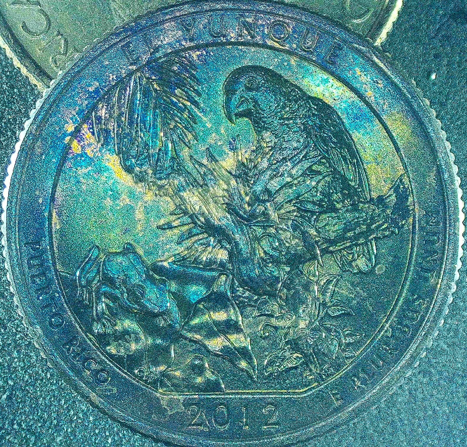 2012 S El Yunque America The Beautiful Quarters: Uncirculated Beautiful ...