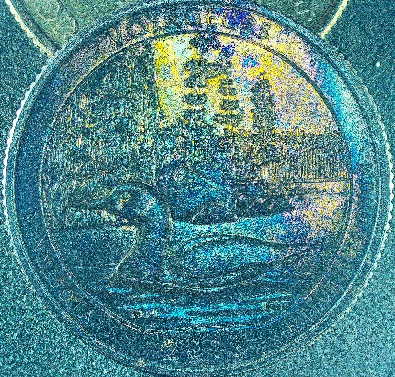 2018 S Voyageurs America The Beautiful Quarters: Gem Brilliant ...