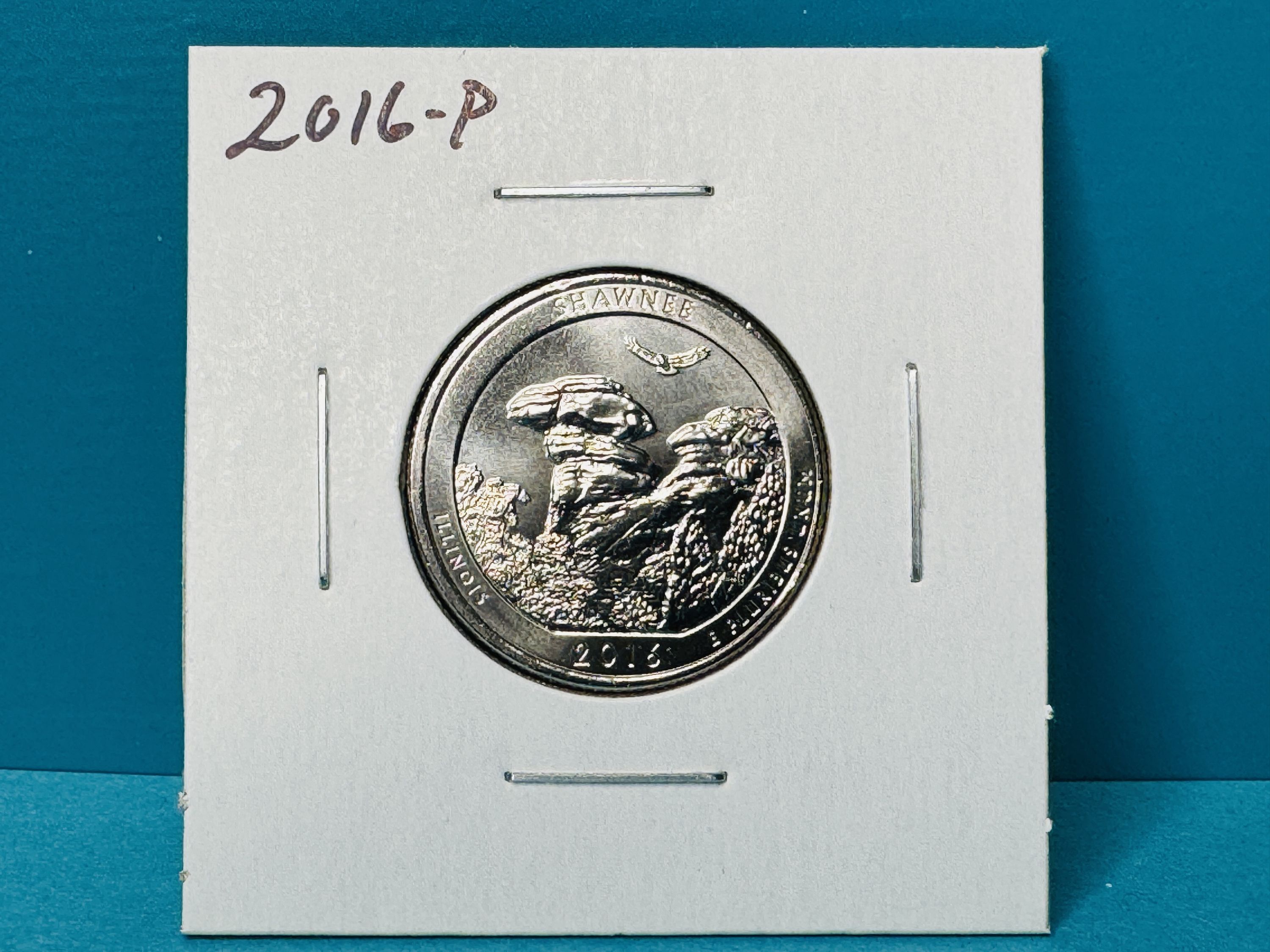 2016-P Shawnee ATB Quarter - For Sale, Buy Now Online - Item #865315