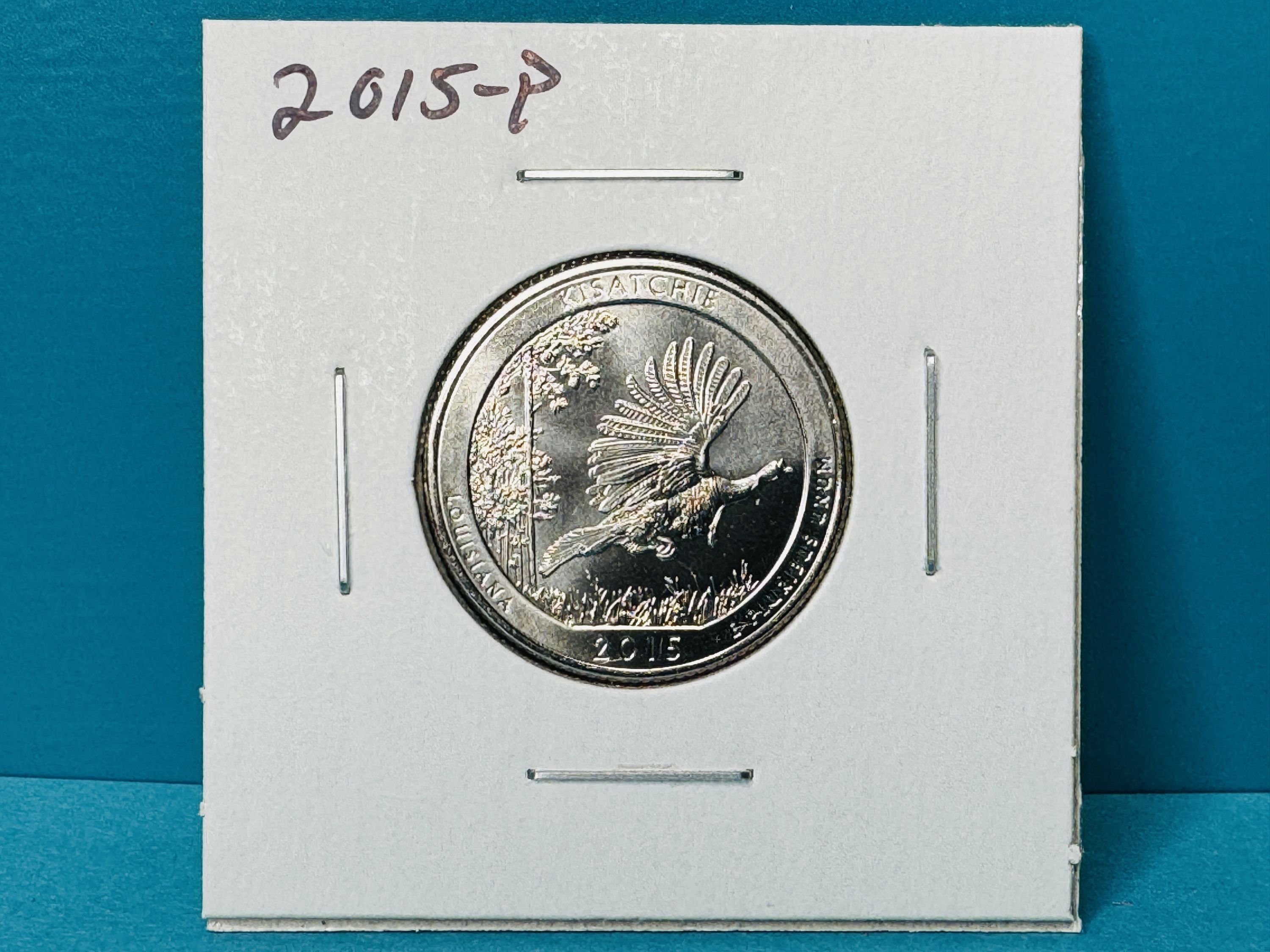 2015-P Kisatche ATB Quarter - For Sale, Buy Now Online - Item #870507