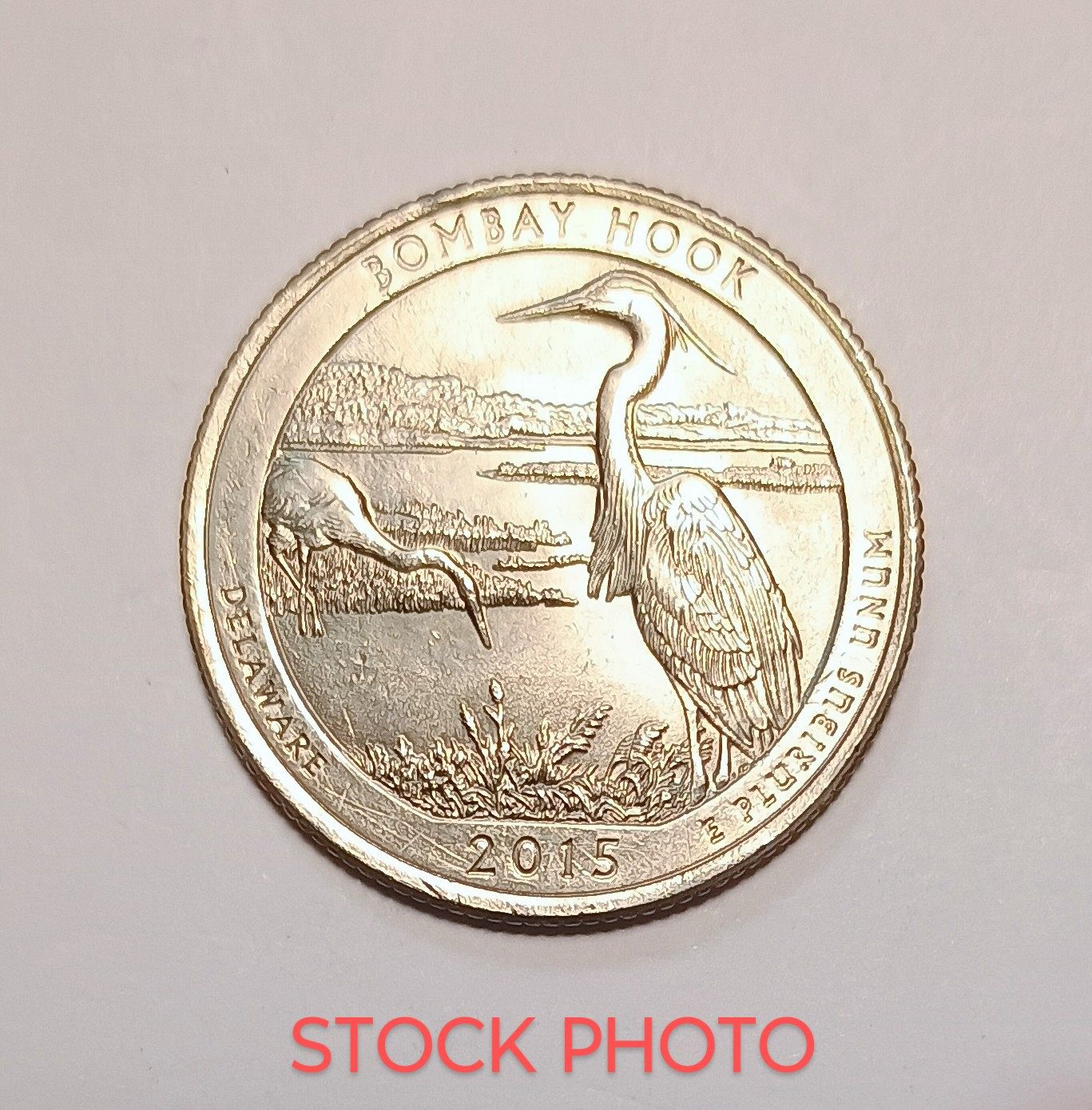 2015-P Delaware Bombay Park America the Beautiful quarter low- mid ...