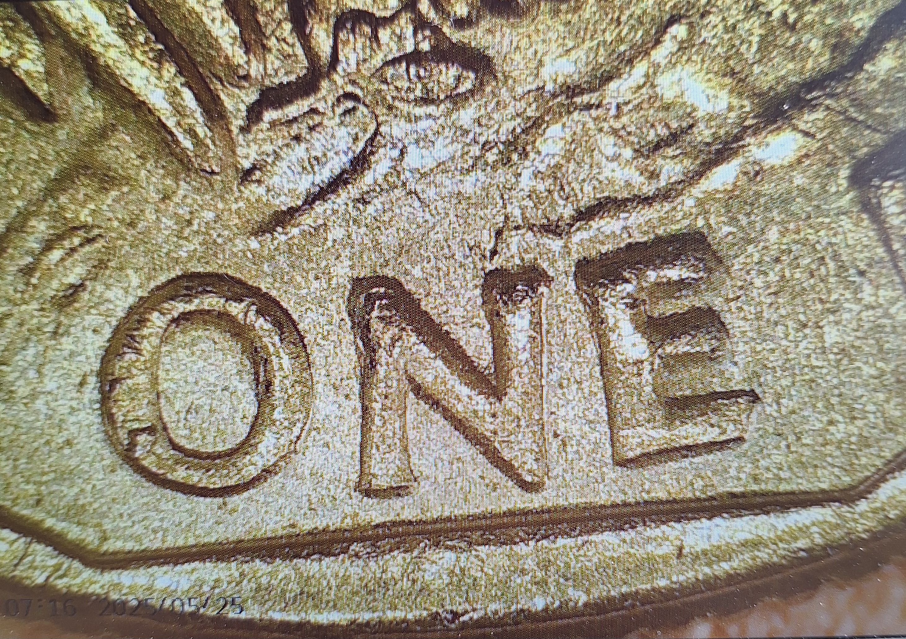 Susan B Anthony Doubled Die Coin Unique Doubling - For Sale, Buy Now ...