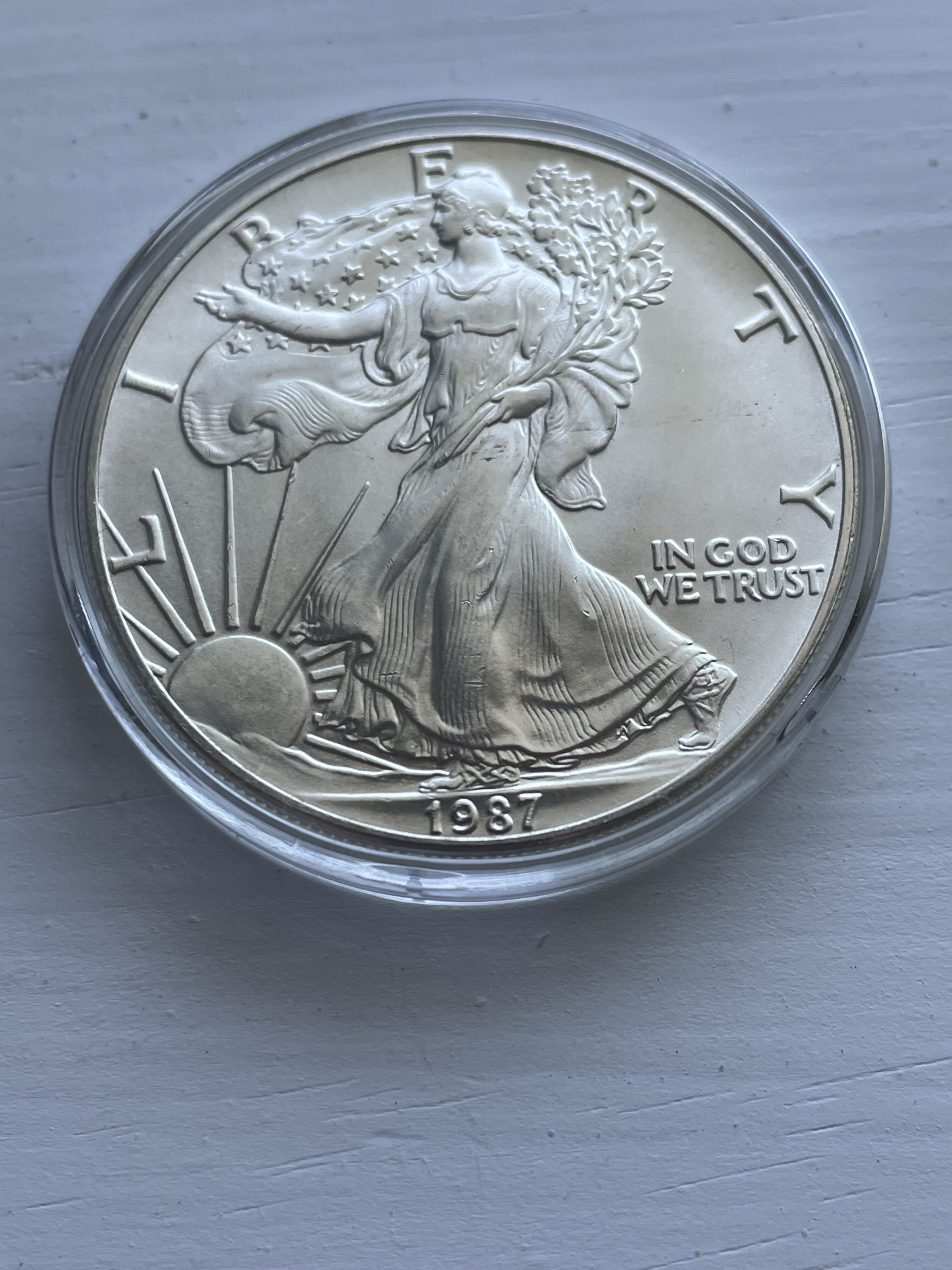 1987 SILVER EAGLE - For Sale, Buy Now Online - Item #936224