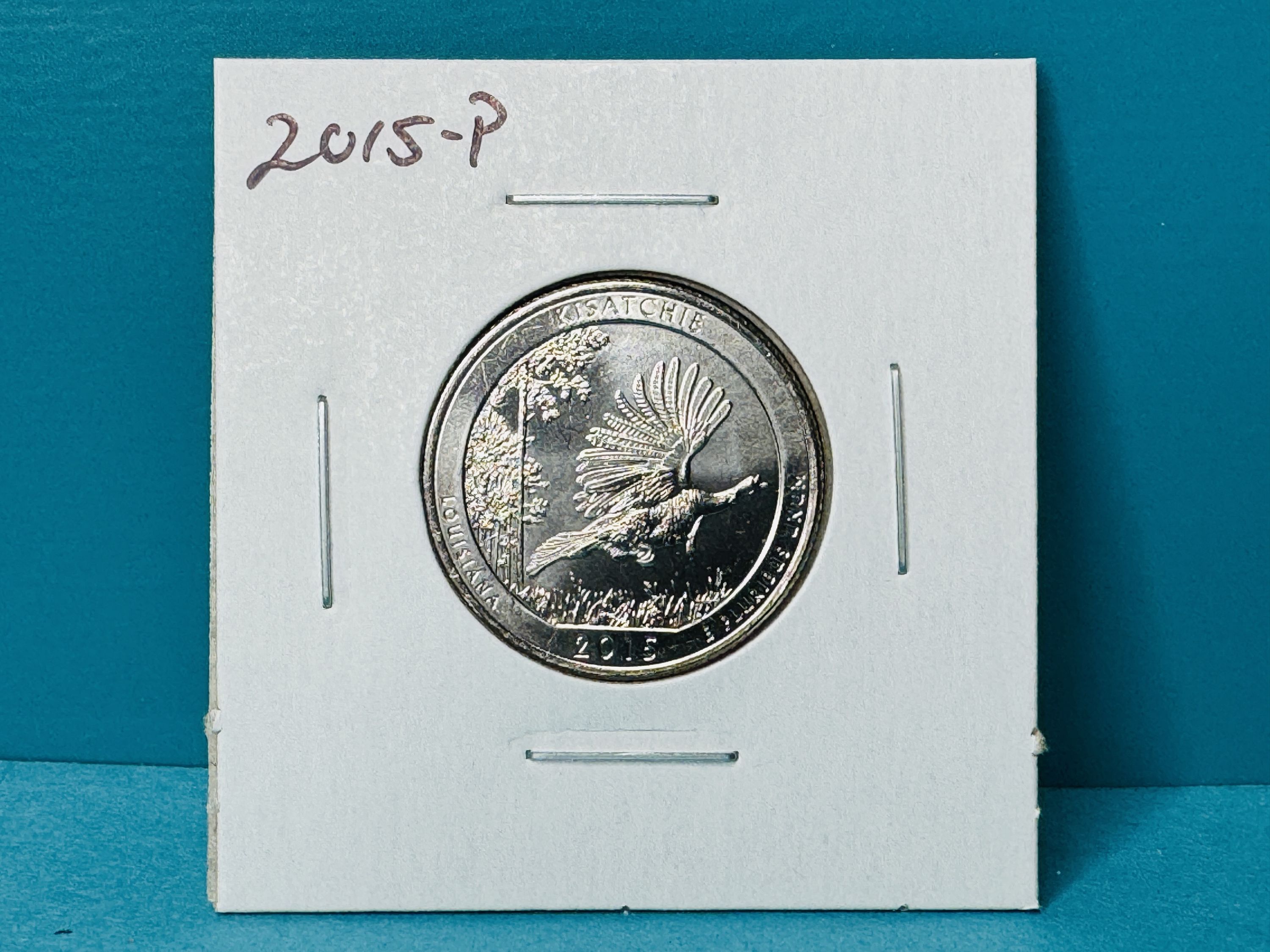 2015-P Kisatche ATB Quarter - For Sale, Buy Now Online - Item #944961