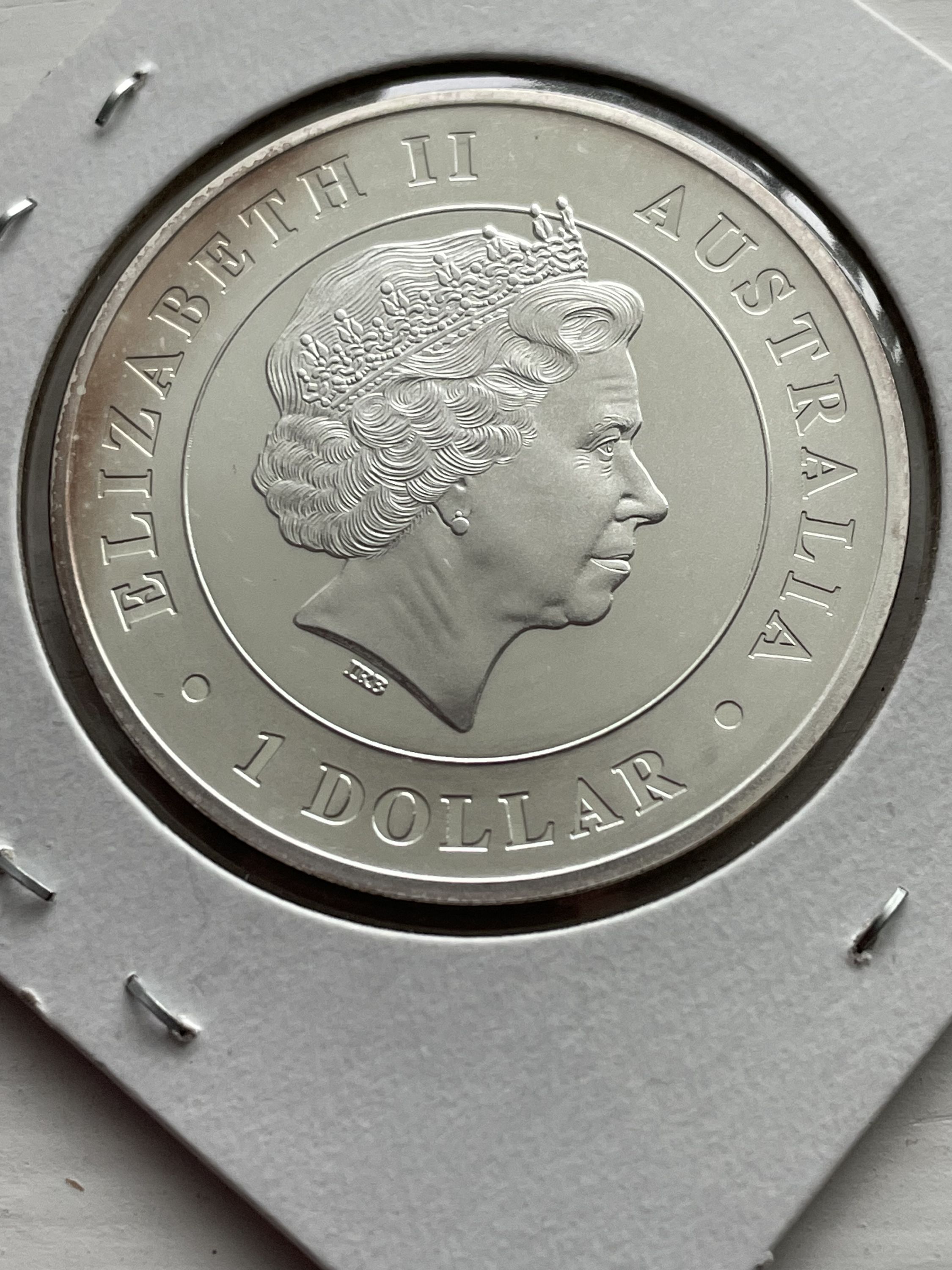 2015 AUSTRALIA FUNNEL WEB SPIDER - For Sale, Buy Now Online - Item #956277