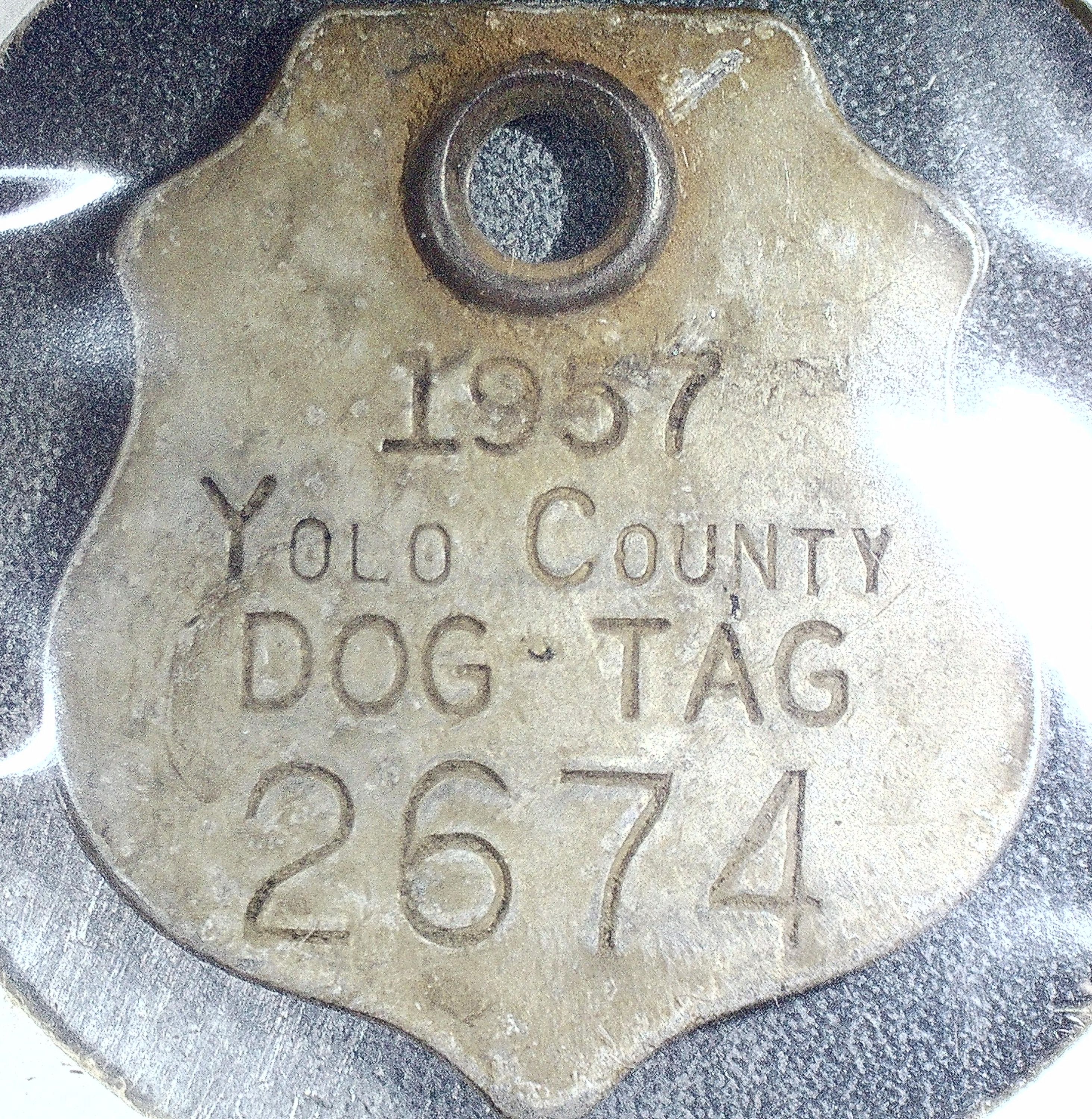 1957 Yolo County, California dog license tag 29mm - For Sale, Buy Now ...