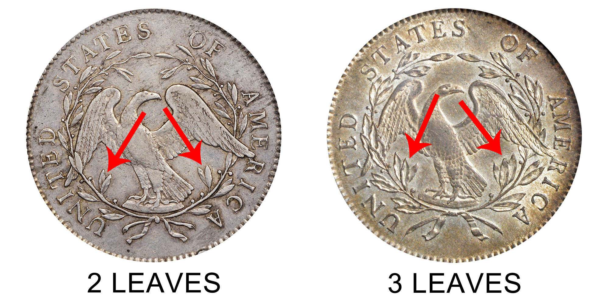 1795 Flowing Hair Silver Dollar All Varieties Coin Value Prices, Photos ...