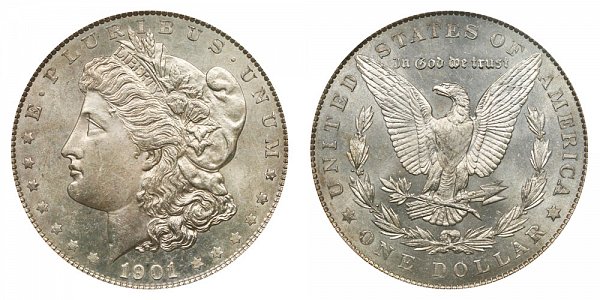 1901 Morgan Silver Dollar Coin Value Prices, Photos & Info